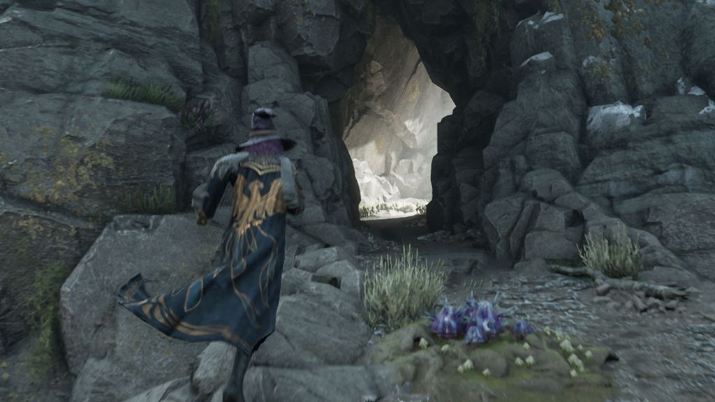 Hogwarts Legacy Phoenix location: Where to find the magical bird ...
