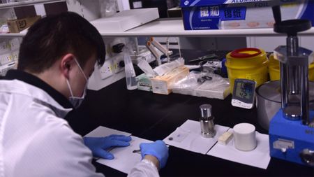 Microsoft creates new 'state of matter' for quantum computing | Windows ...