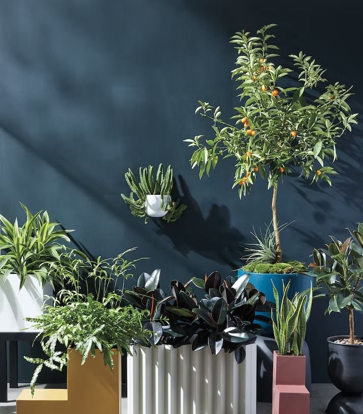 5 creative ways to disguise your neighbor's unsightly backyard wall ...