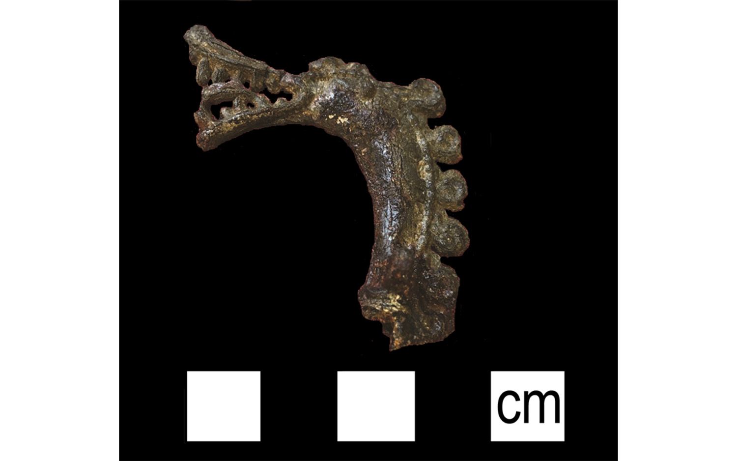 Discovery of Rare Viking Dragon Pin Solves 130-Year-Old Mystery | Live ...