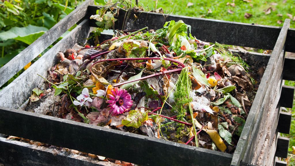 7 composting tips everyone needs to know | Tom's Guide