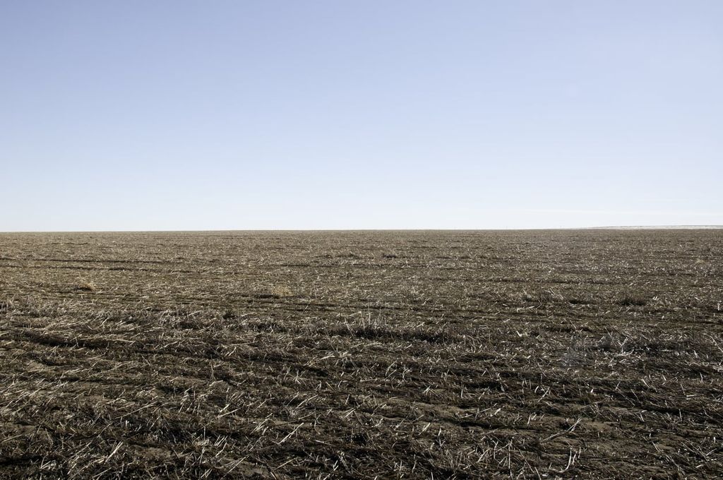 What Is Fallowing – Is Fallowing Good And Should You Let A Field Lie ...