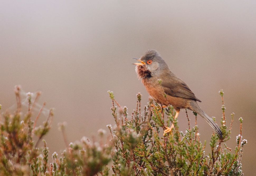 Springwatch 2024: air date, presenters, locations, interview | What to ...