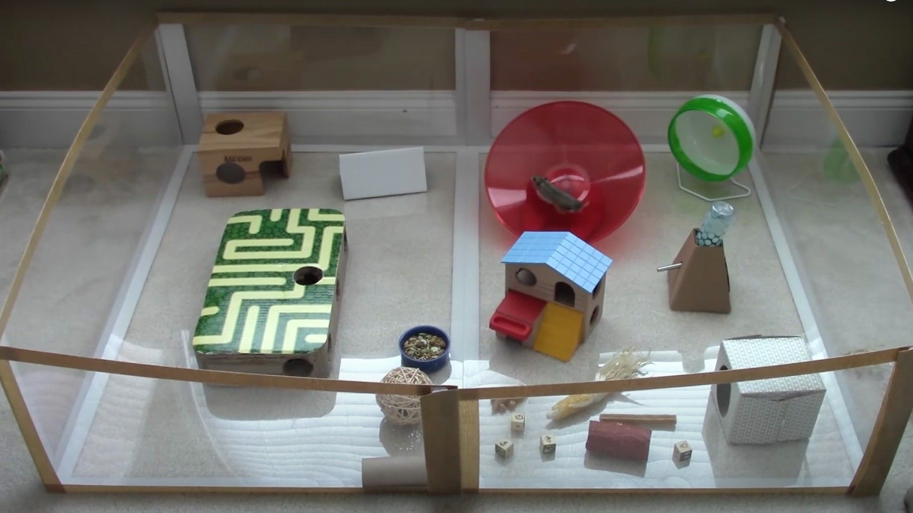 DIY hamster playpen ideas | PetsRadar