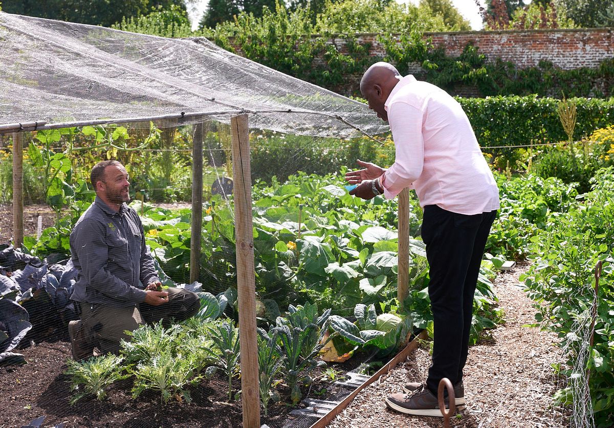 Ainsley’s National Trust Cook Off: air date trailer, guide | What to Watch