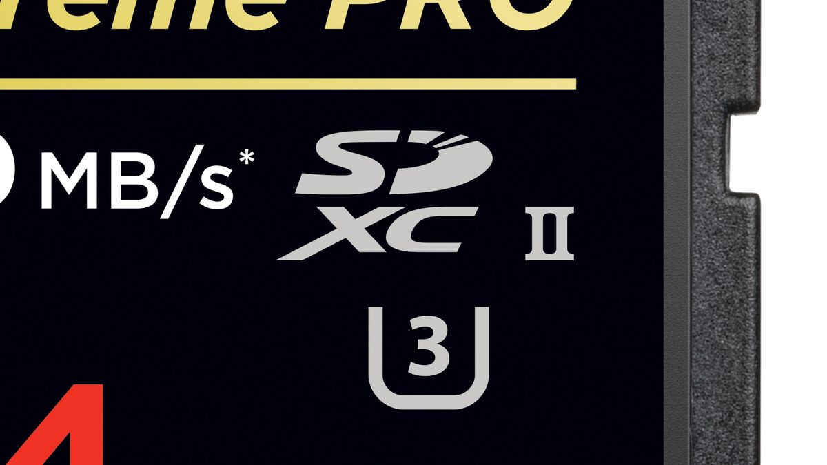 Why do some SD cards have two rows of pins? | Digital Camera World