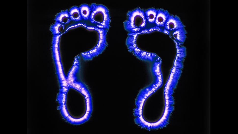 Kirlian photography: supernatural phenomenon or scientific reaction? | Digital Camera World