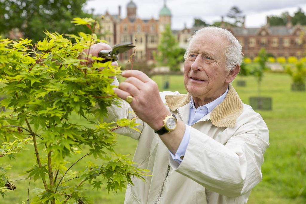 Exclusive: The King's remarkable resurrection of the gardens and ...
