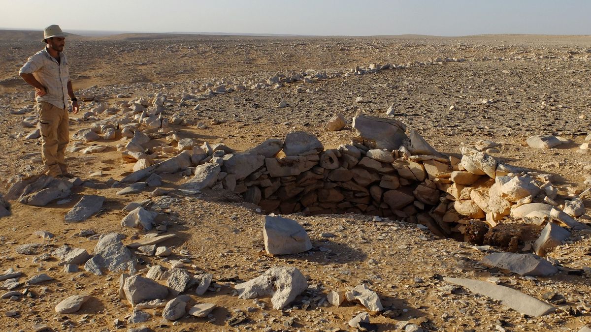 8,000-year-old rock carvings in Arabia may be world's oldest ...