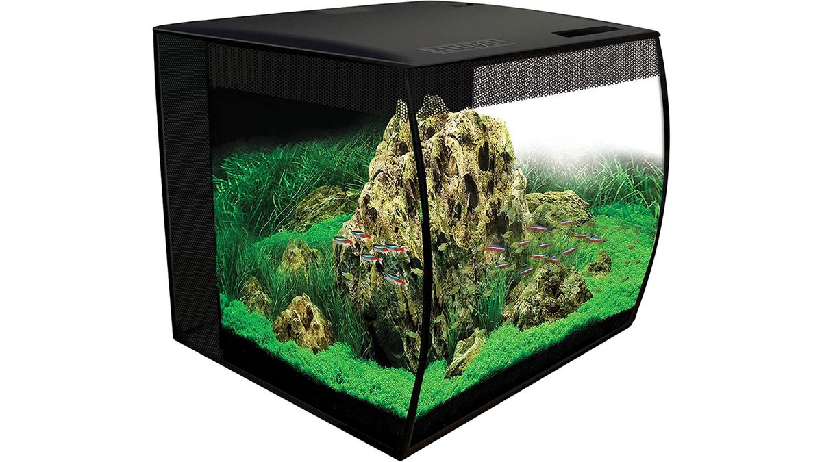 Choose the best fish tank for happy, healthy, aquatic pets | PetsRadar
