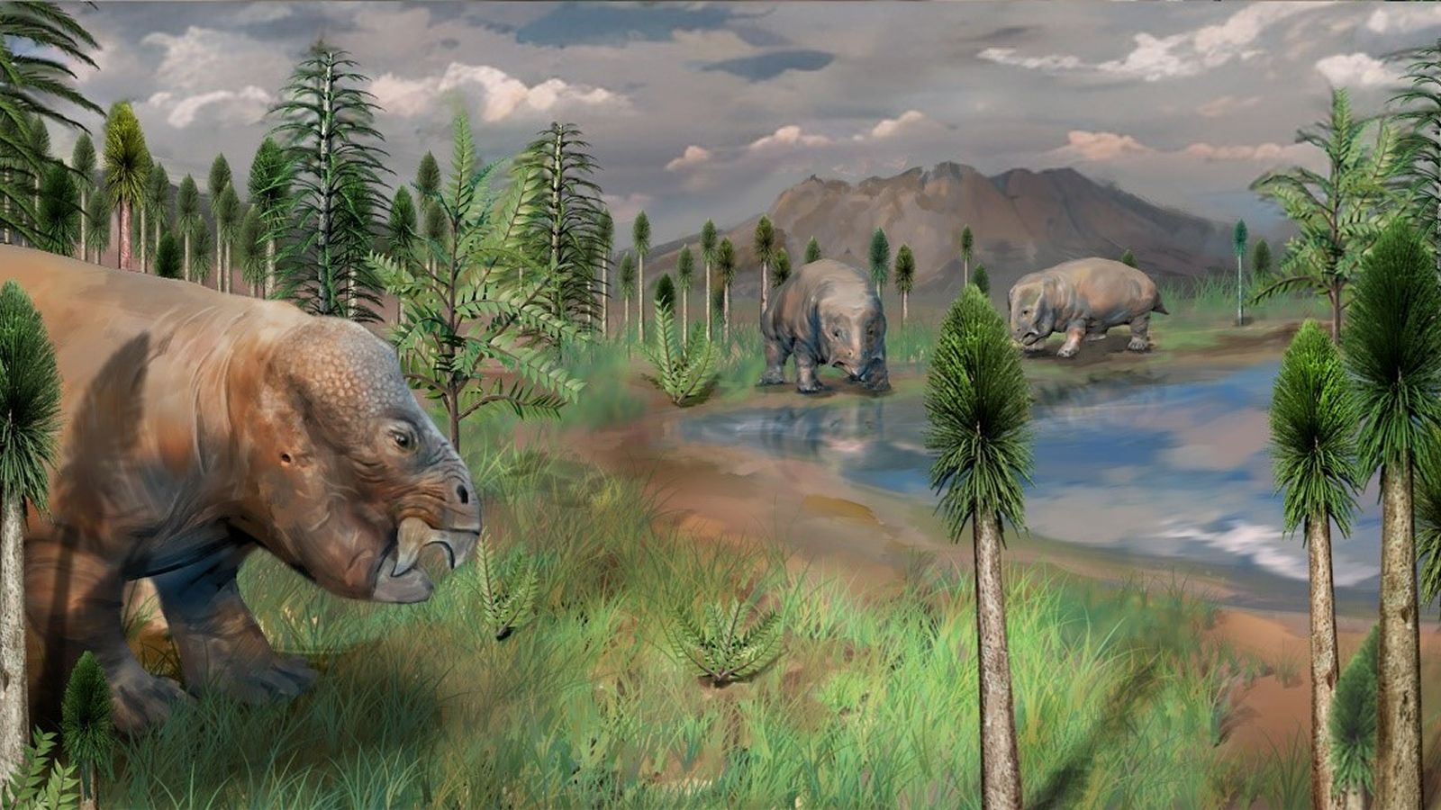 Refuge from the worst mass extinction in Earth's history discovered ...