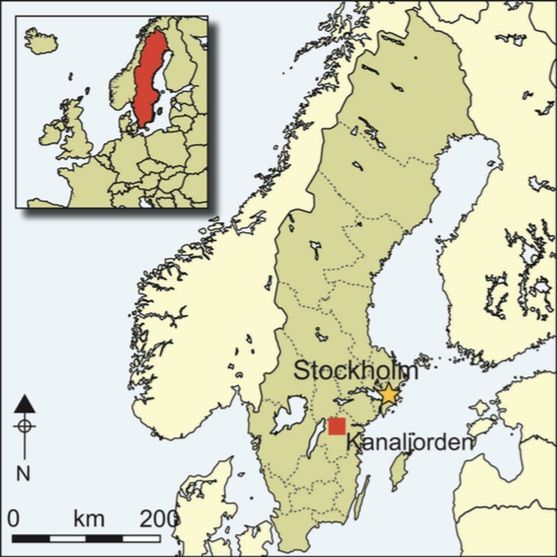 Photos: Stone Age skulls found on wooden stakes | Live Science