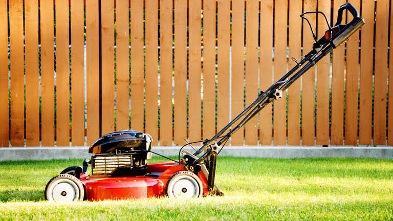 How often should you mow the lawn? | T3