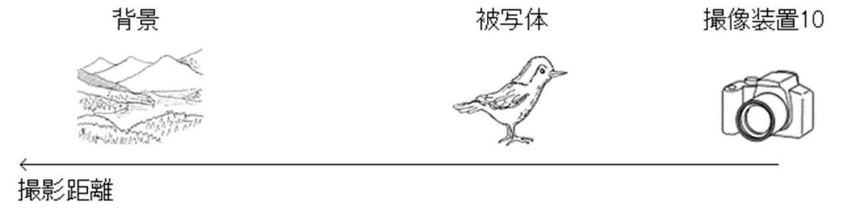 Has Canon just solved focus hunting? | Digital Camera World