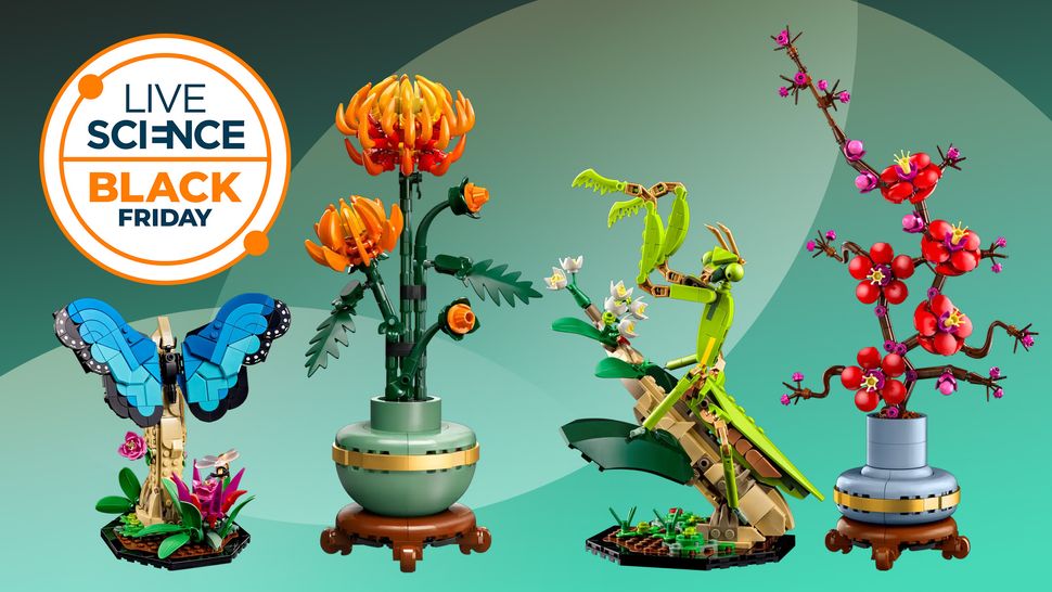 Black Friday Lego deals 2024 — The best deals on botanical, wildlife ...