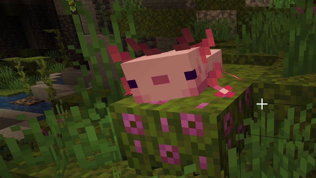 How to find, tame and breed Minecraft axolotls | GamesRadar+