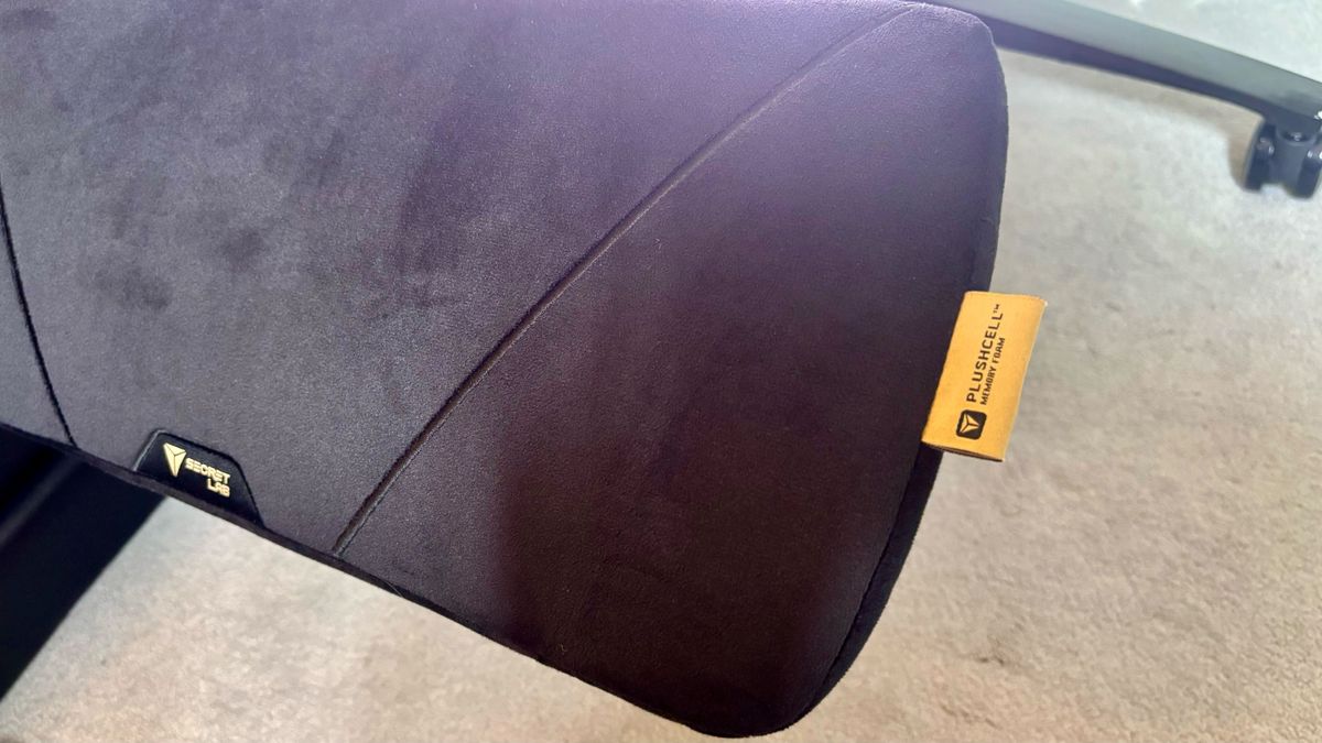 Secretlab Ergonomic Recliner review: a seriously luxurious add-on ...