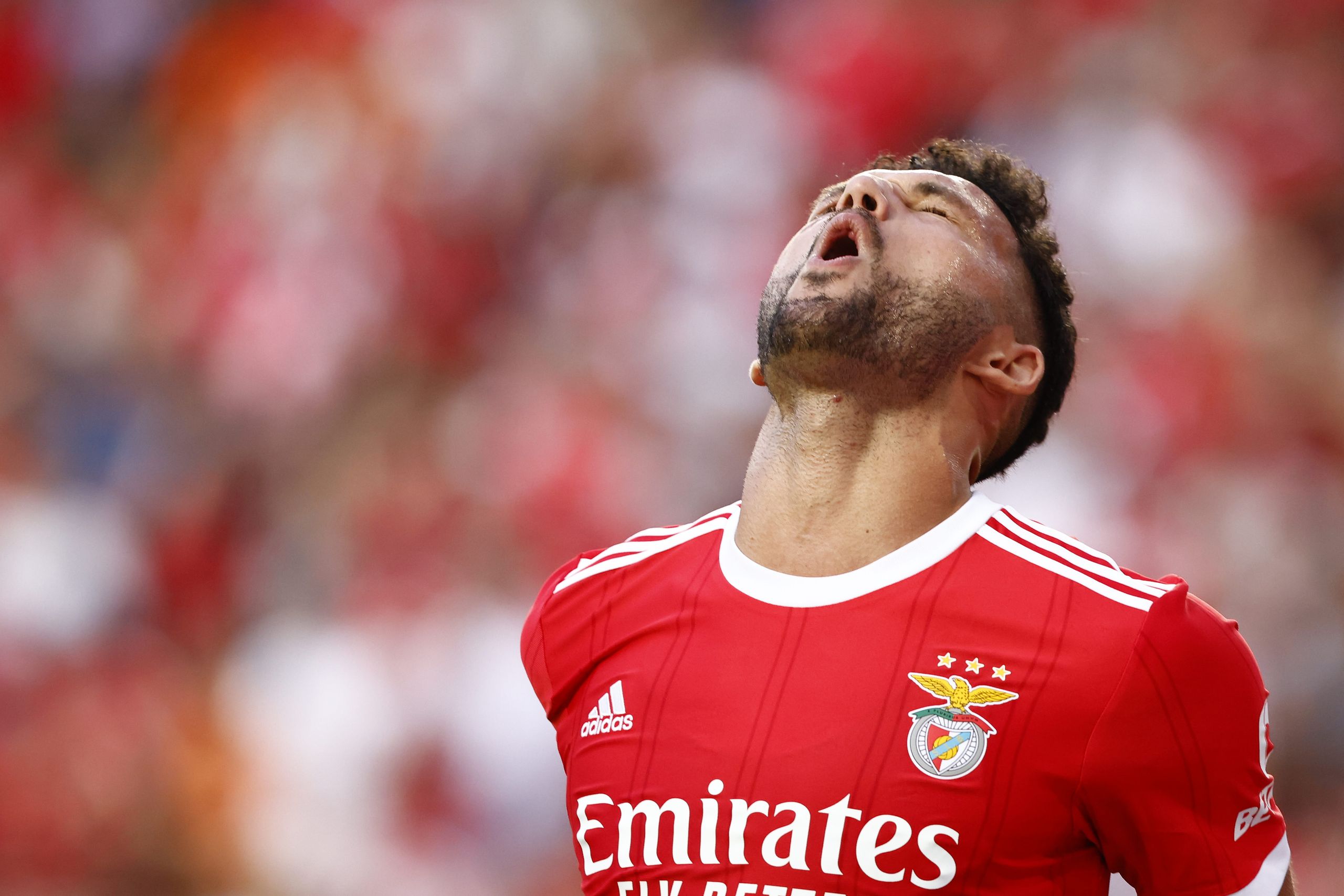 Manchester United report: Benfica wonderkid on Red Devils radar for ...