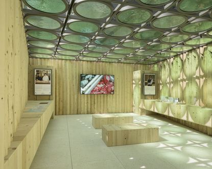 New Rolex Pavilion at the Venice Architecture Biennale 2025 | Wallpaper*