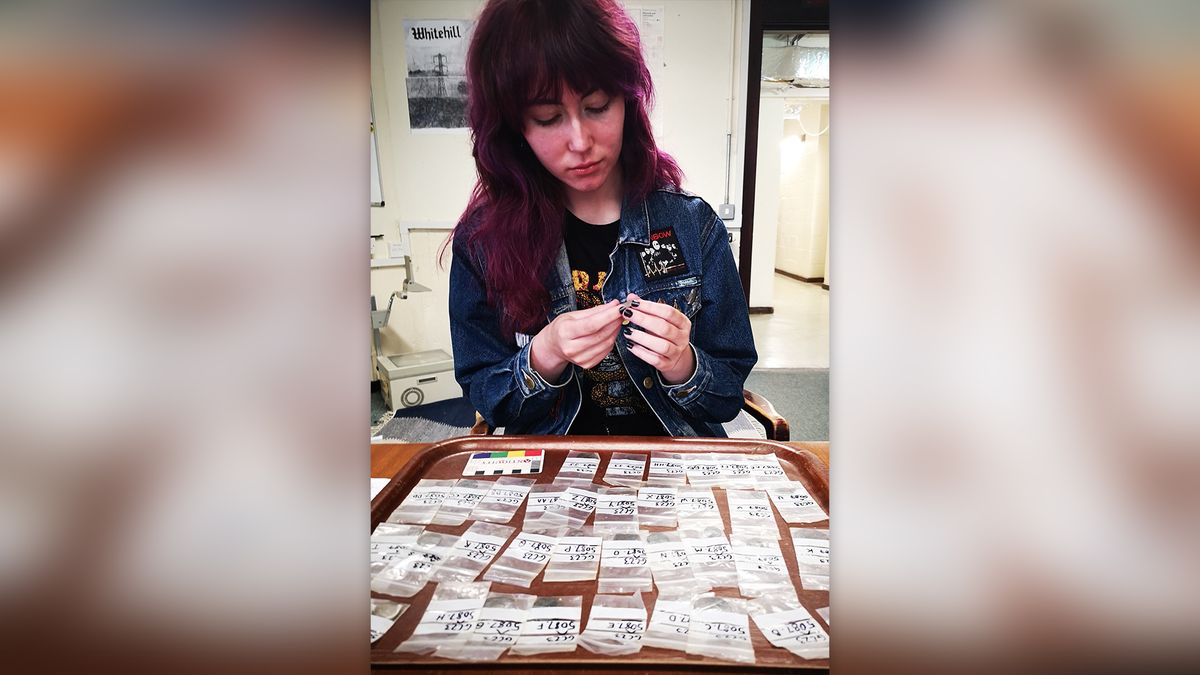 330-year-old coin hoard hidden in Scottish fireplace may have been ...