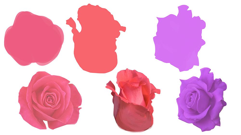 How to draw a rose: Beginner and advanced tips | Creative Bloq