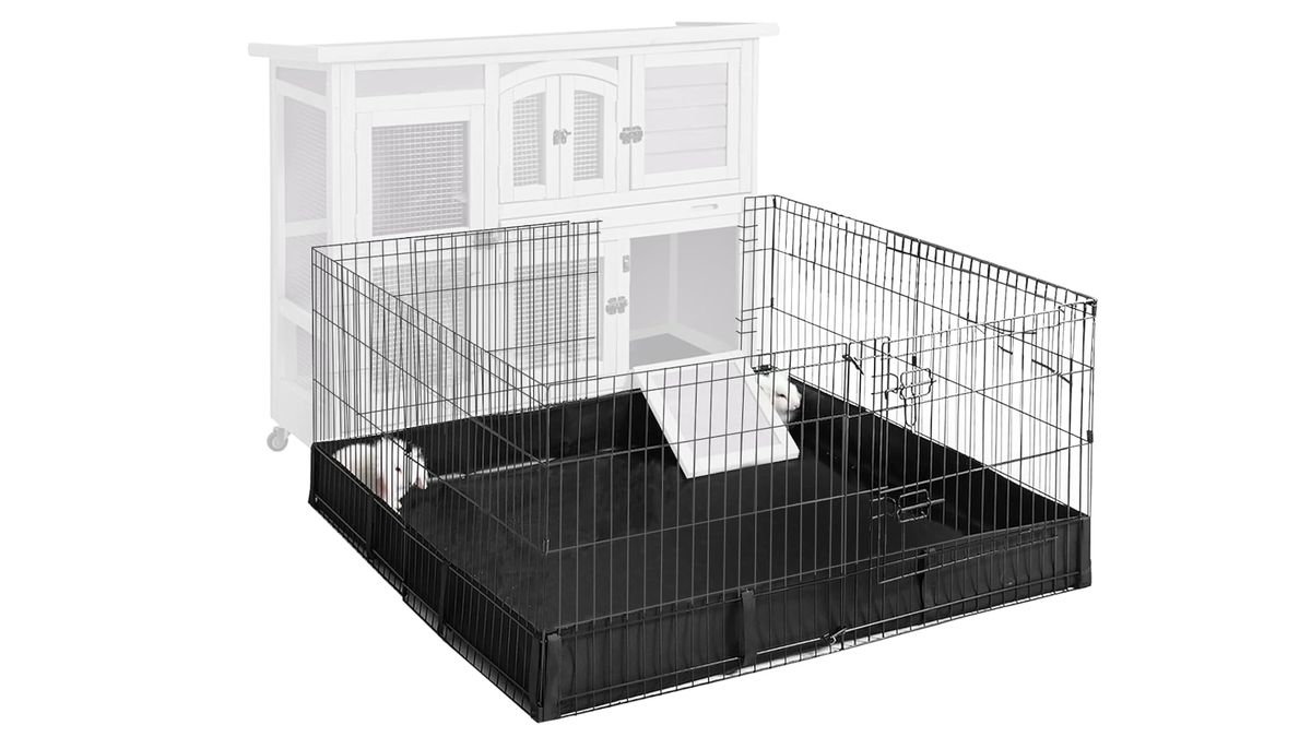 Best rabbit runs 2024 to let your bunny stretch their legs | PetsRadar