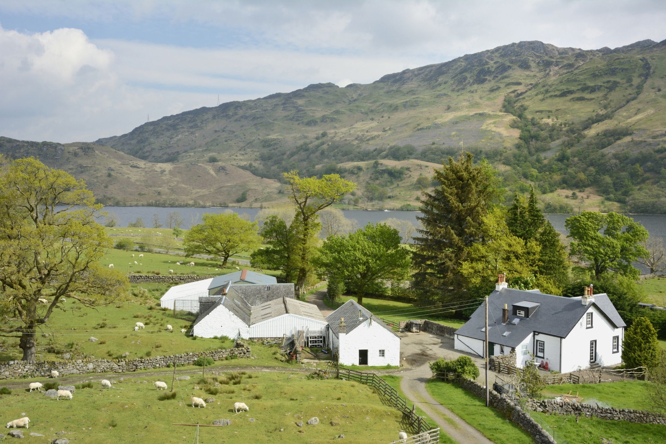 3,600 acres on the shores of Loch Lomond in which to lose yourself and ...