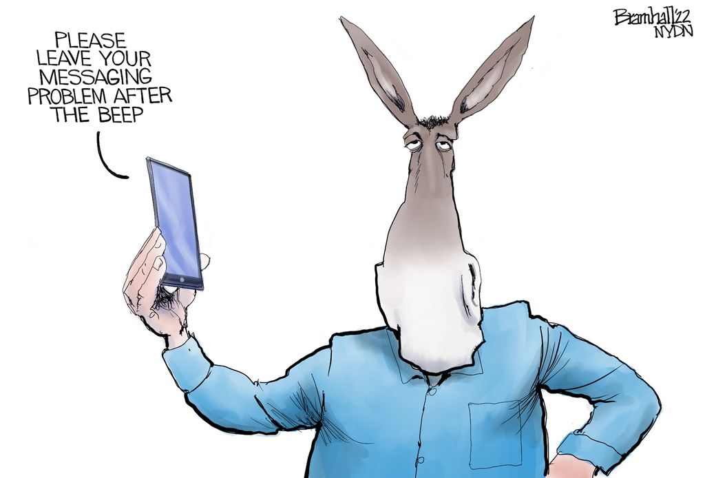 7 brutally funny cartoons about Democrats' grim midterm outlook | The Week