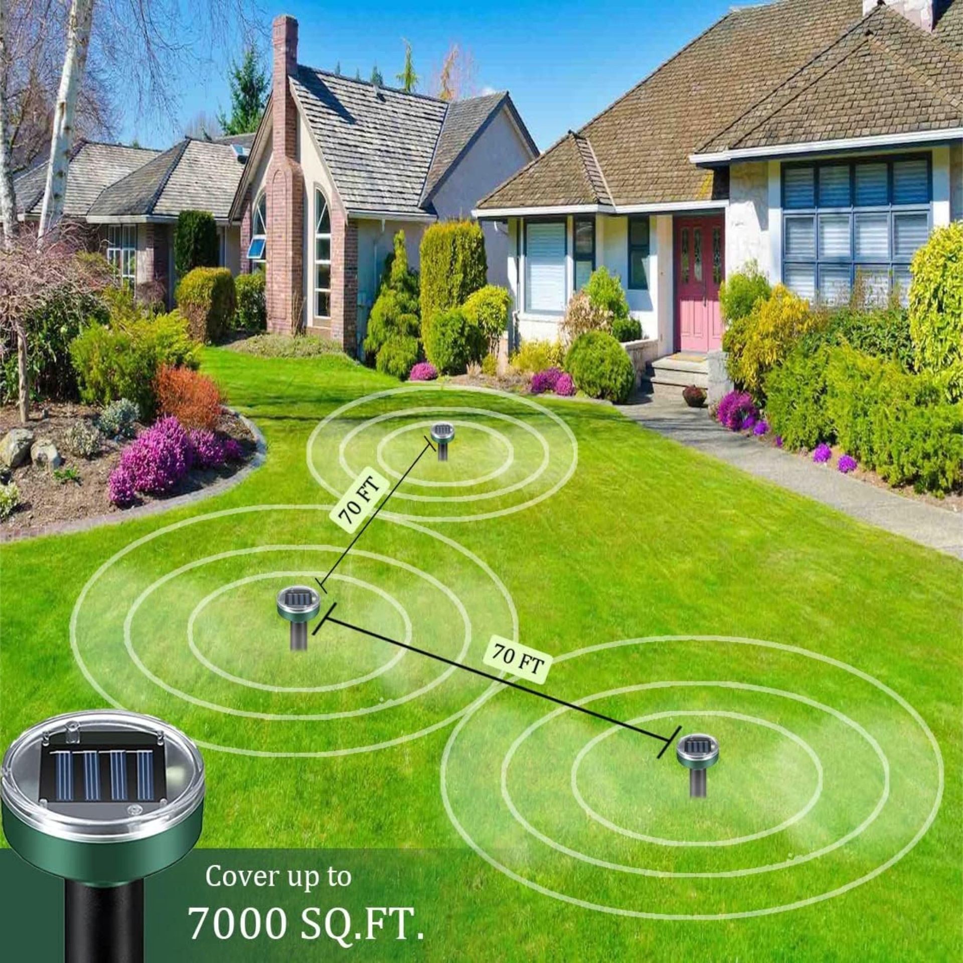 How to get rid of gophers: traps, barriers and repellents | Homes and ...