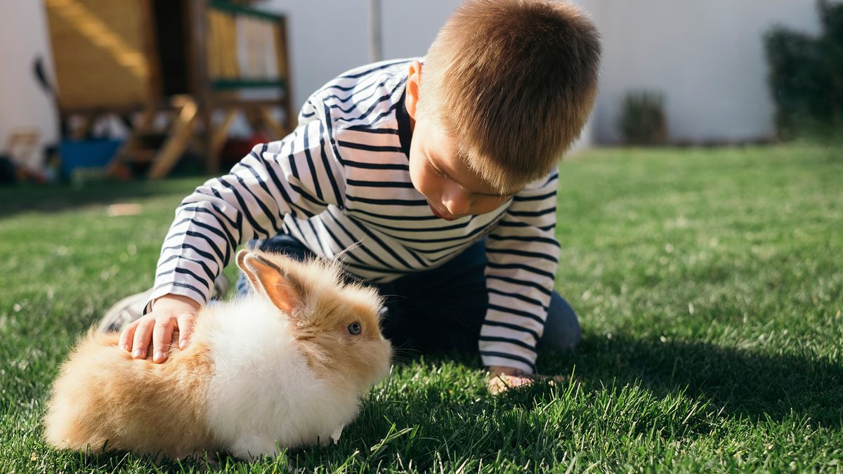 Best pets for autistic people: Children and adults | PetsRadar