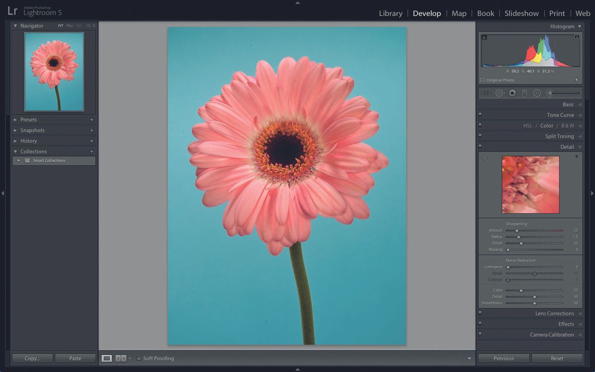 How to sharpen images like a pro using Lightroom | Digital Camera World