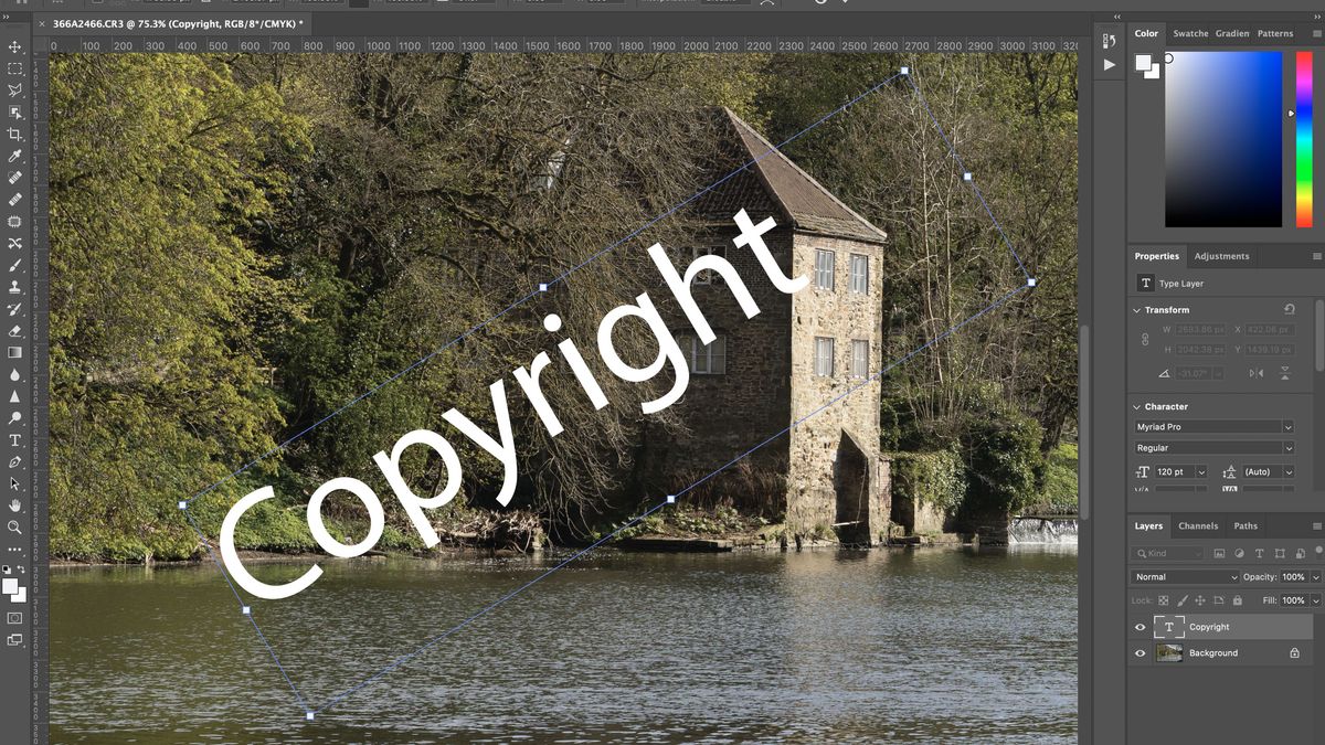 How to keep your photographs safe online: 5 essential tips | Digital ...