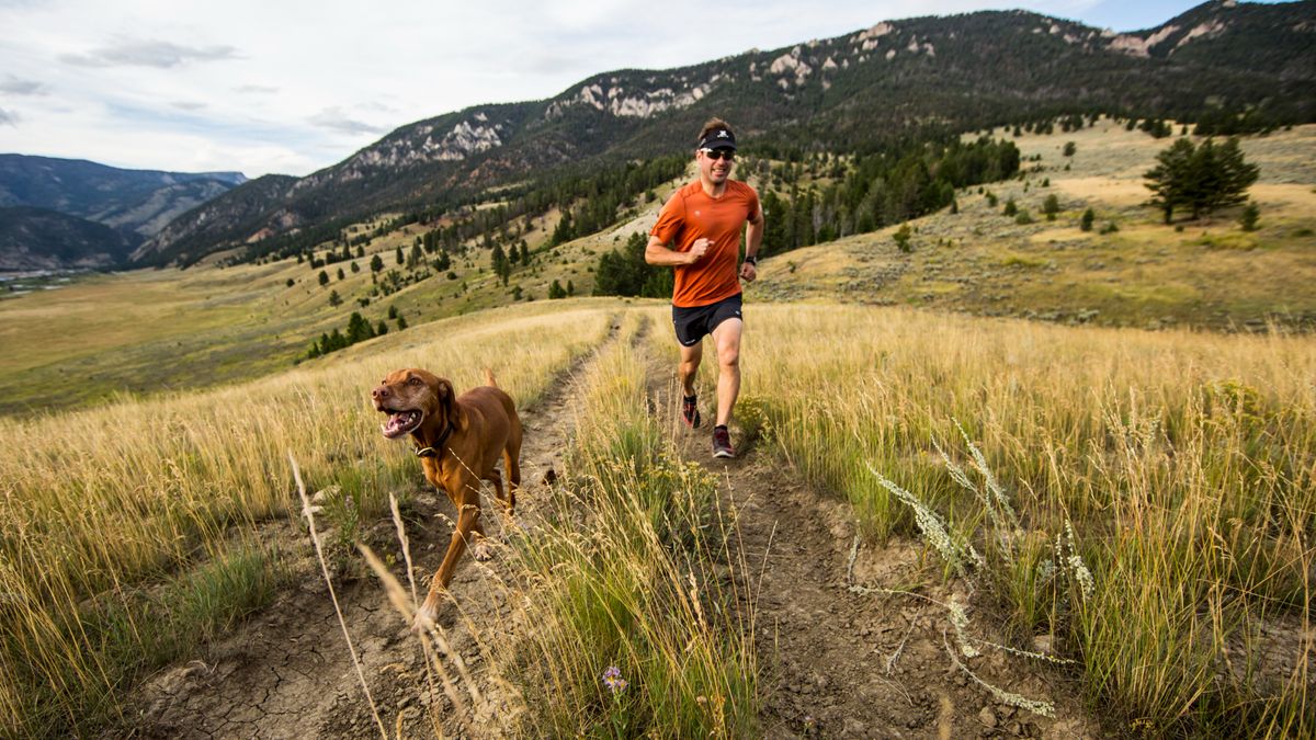 How to go trail running with your dog: everything you need to know ...