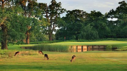 Best Golf Courses In The Midlands | Golf Monthly