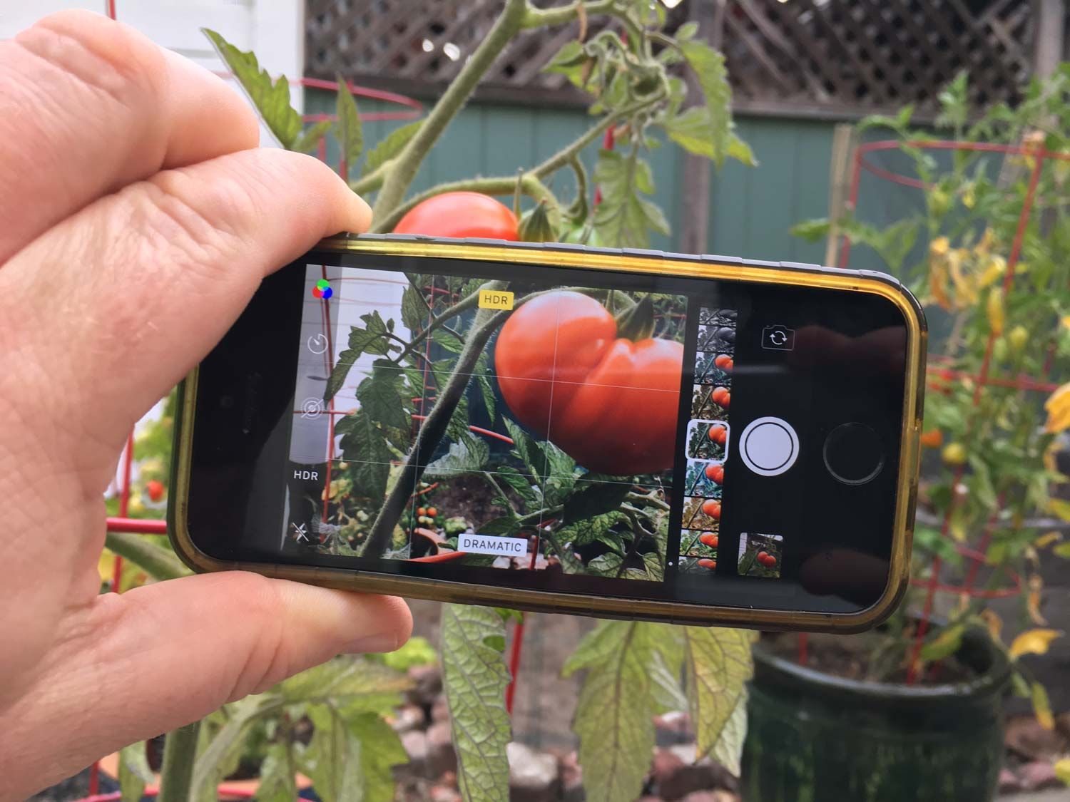 iOS 11 Camera Guide: All the New Features and How to Use Them | Tom's Guide