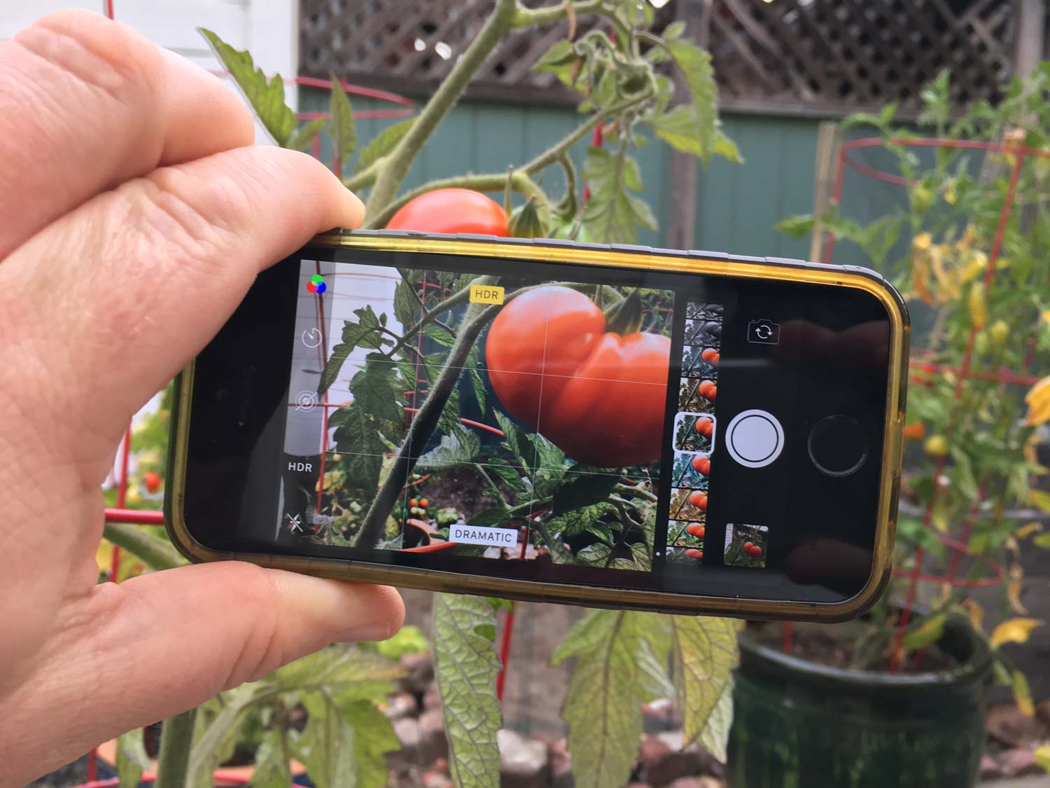 iOS 11 Camera Guide: All the New Features and How to Use Them | Tom's Guide