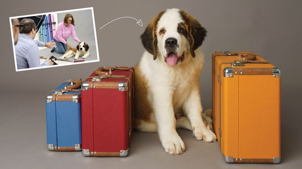 Get a FREE guide to wideangle photography with Digital Photographer ...