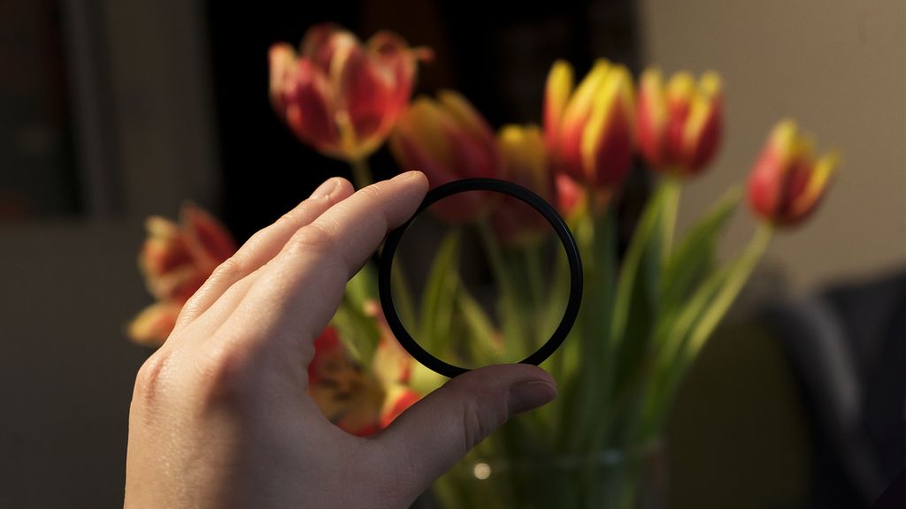 Best diffusion filters for photography & filmmaking | Digital Camera World