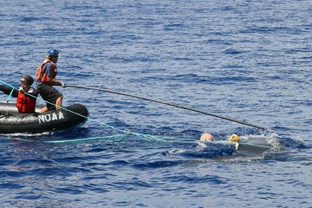 Humpback Whale Rescue Photos | Whale Pictures | Live Science