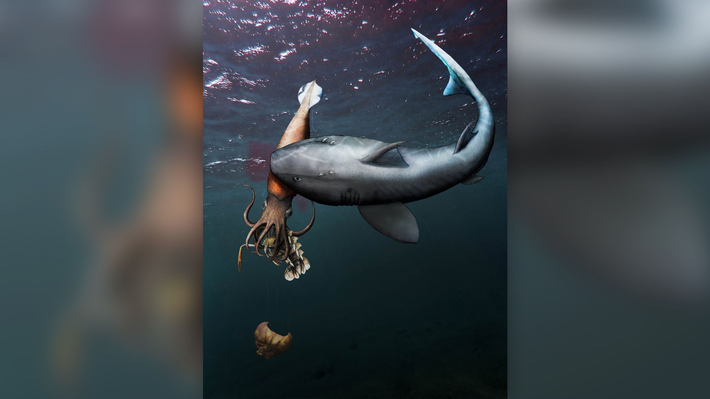 Jurassic squid got murdered mid-meal, leaving this epic fossil behind ...