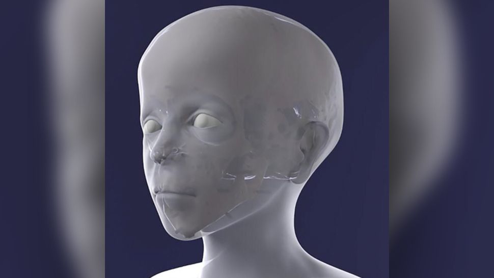 Facial reconstruction reveals Egyptian 'mummy portrait' was accurate ...