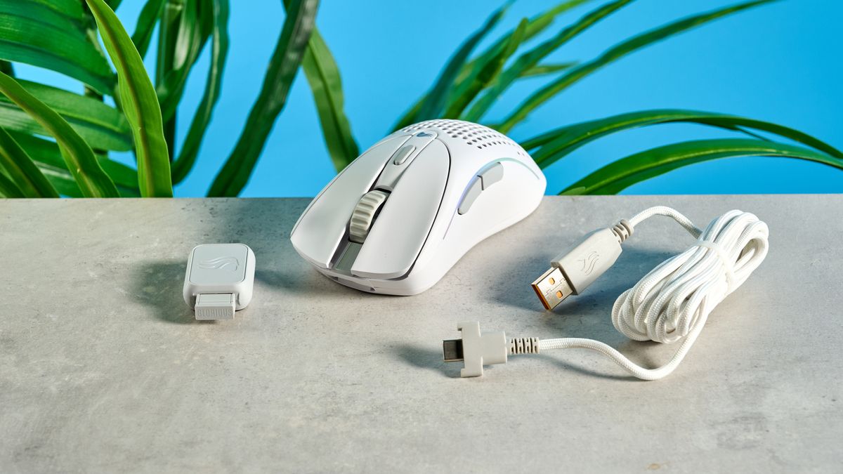 Glorious Model D2 review: A great mouse for gaming, but it left me with ...