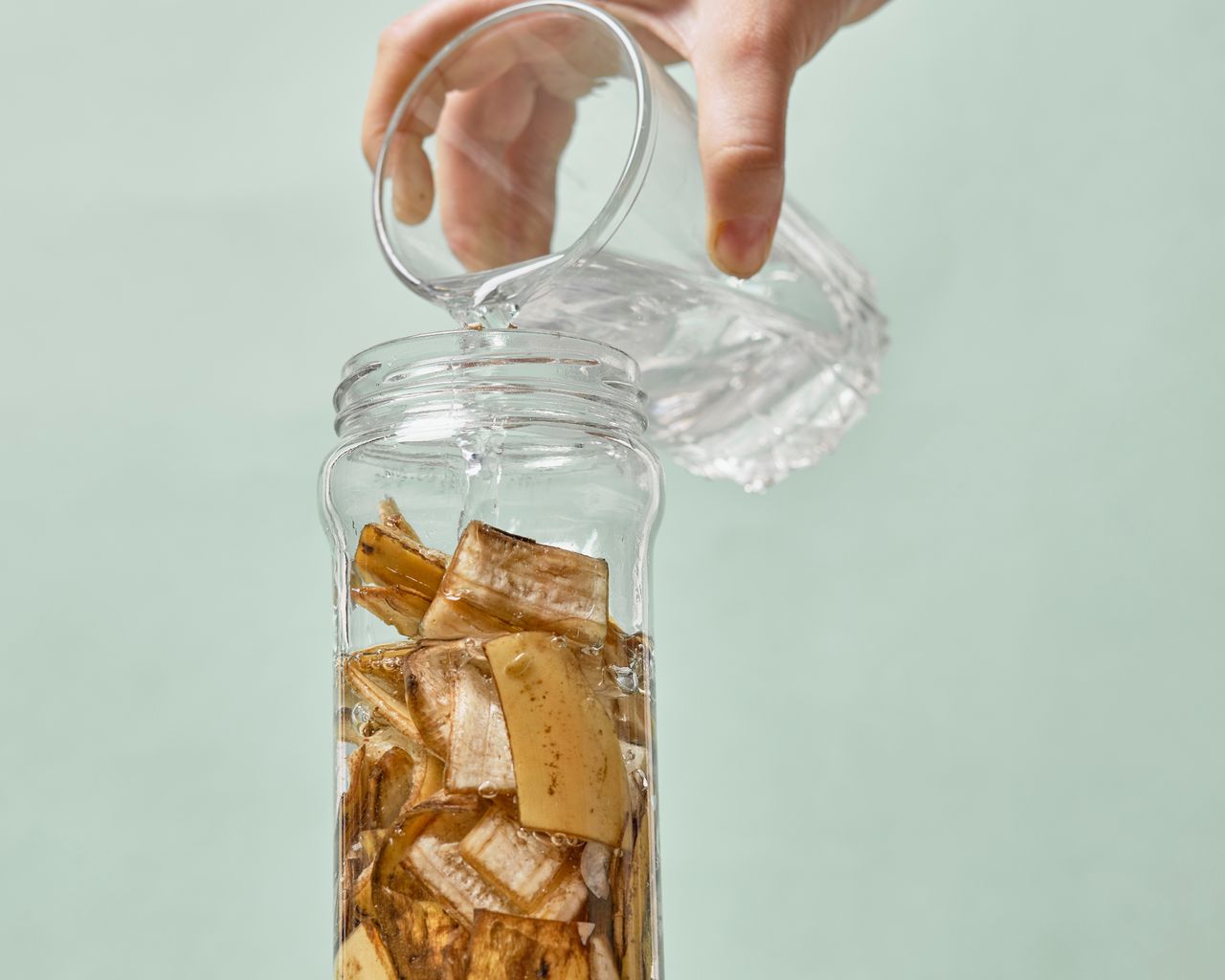 Should You Use Banana Peel Water for Plants? | Gardening Know How