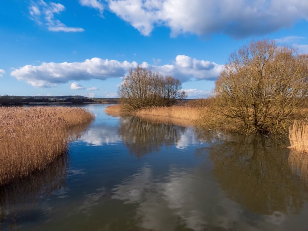 The best bridge camera | Digital Camera World