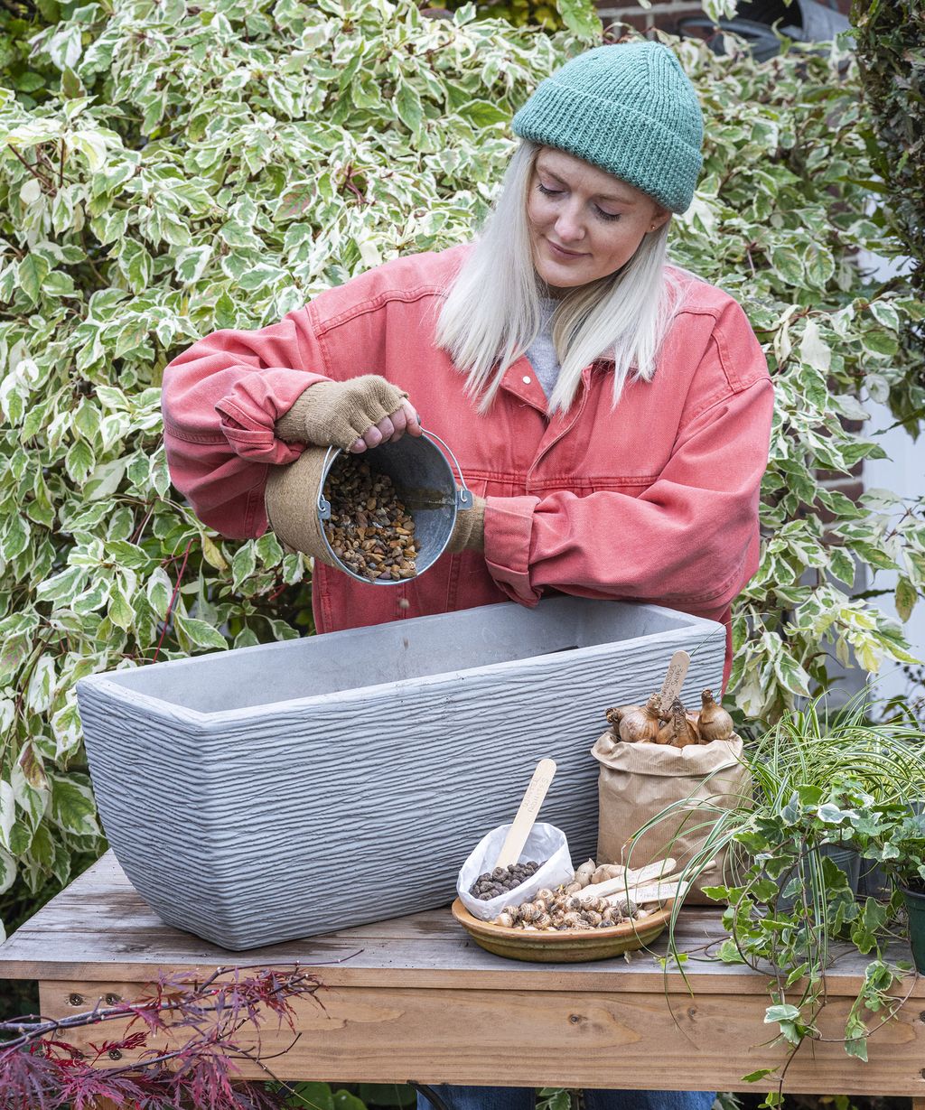 How to plant a bulb lasagne in 5 simple steps | Gardeningetc
