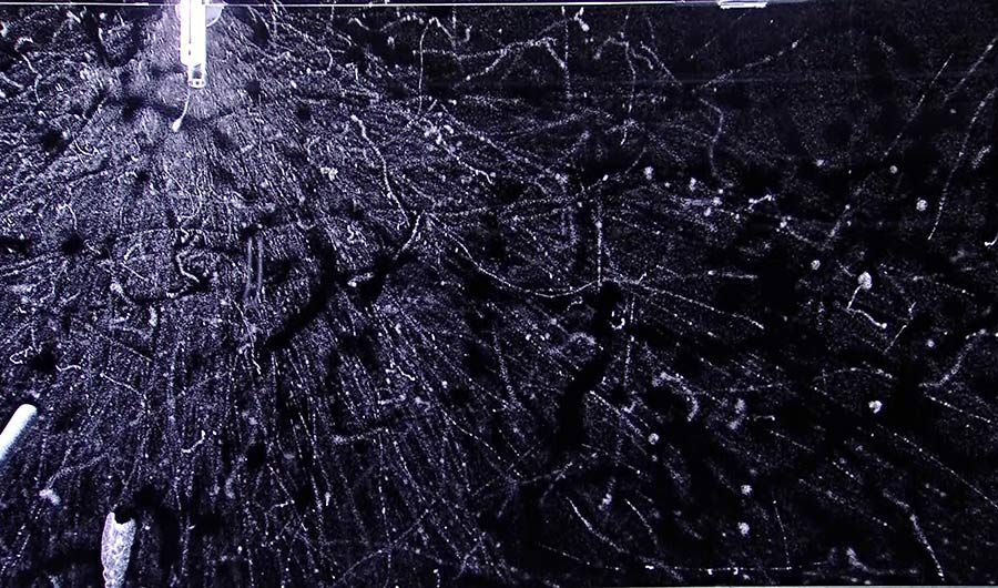 What Can the Death of a Neutron Tell Us About Dark Matter? | Live Science