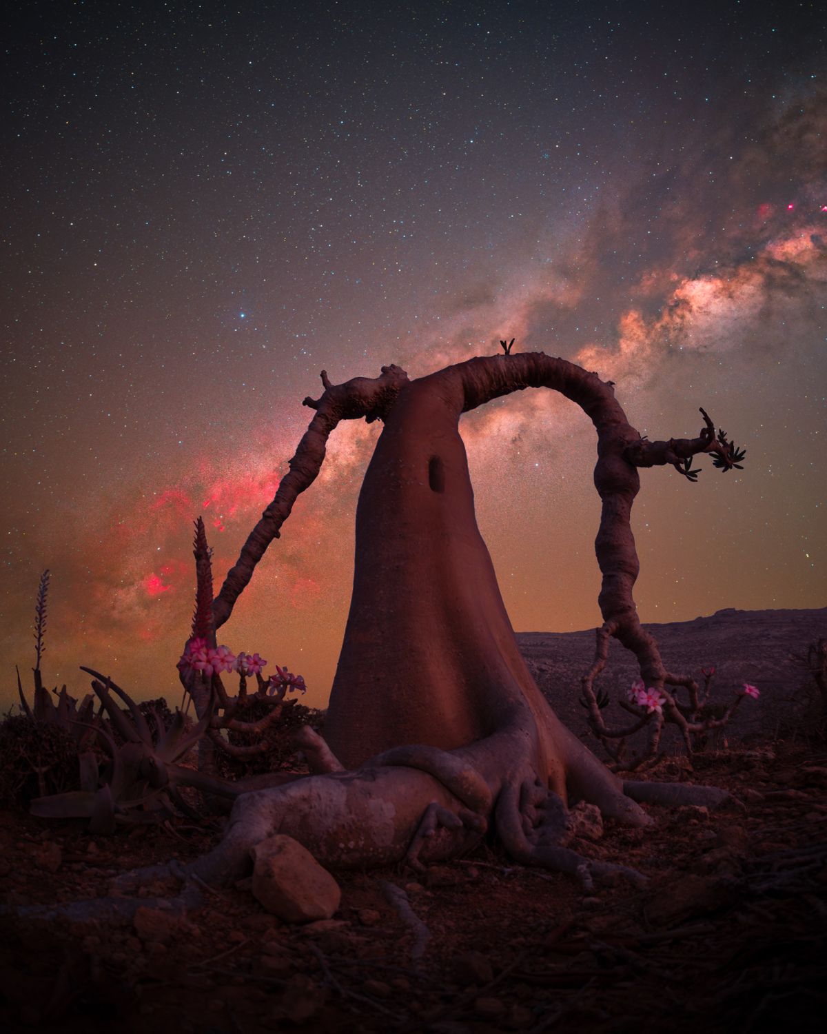 These 5 astonishing landscape photographs capture some of nature's most ...