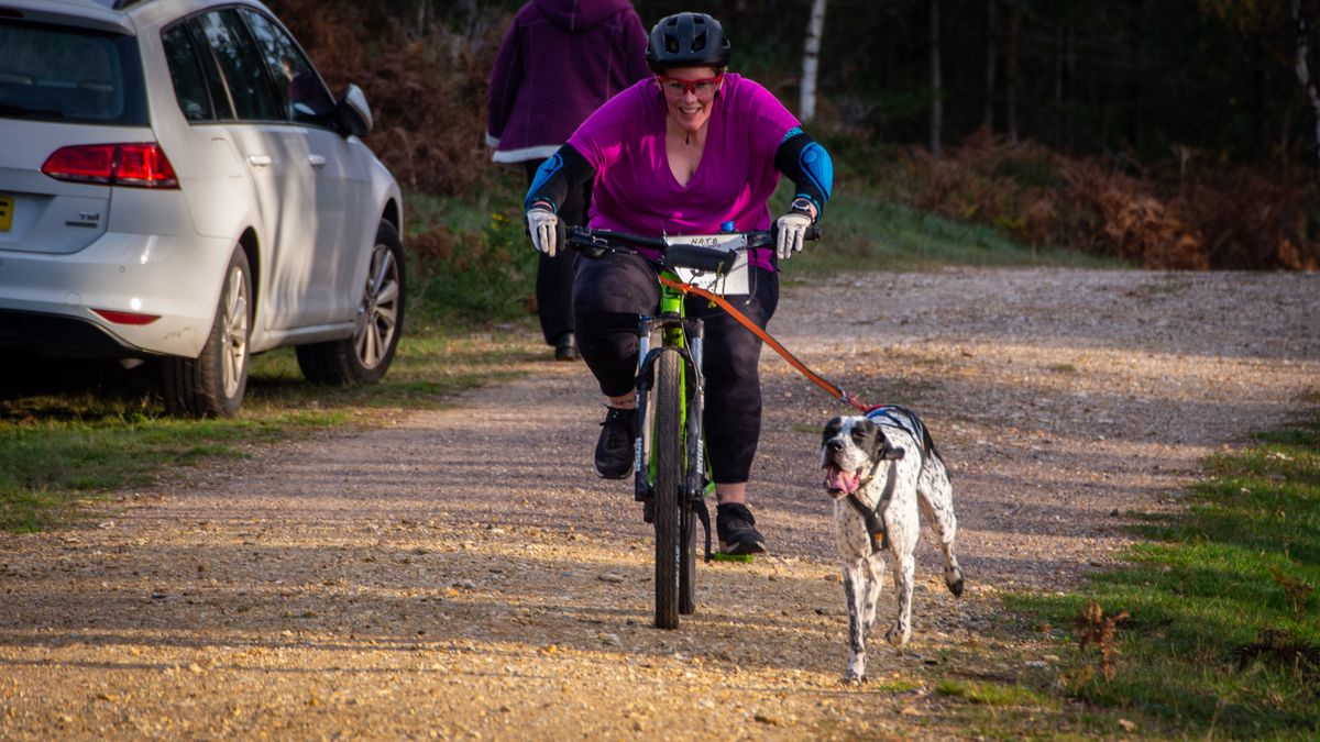 What is bikejoring? The sport every dog-loving cyclist needs to know ...
