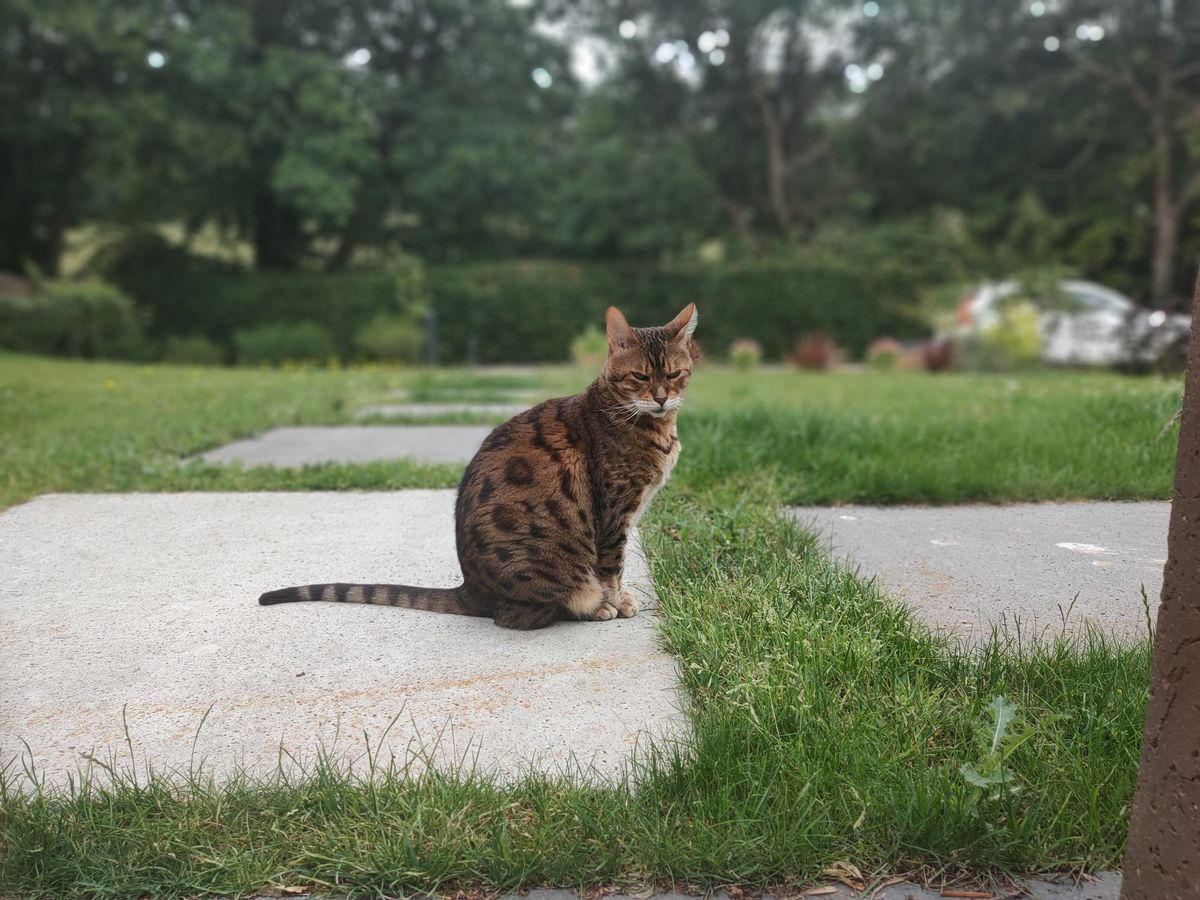 Hands on: Oppo Reno 5G review | TechRadar