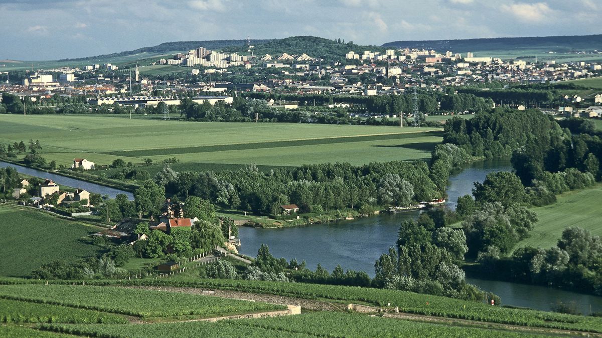 Why you should visit Reims and the Champagne region | The Week